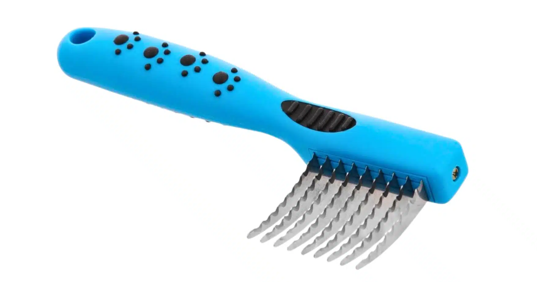 Grooming a Bernedoodle: How Often, How To, What Tools & Tips